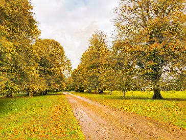Folkestone - BBC Weather