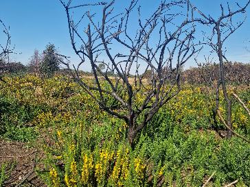 Farnborough - BBC Weather