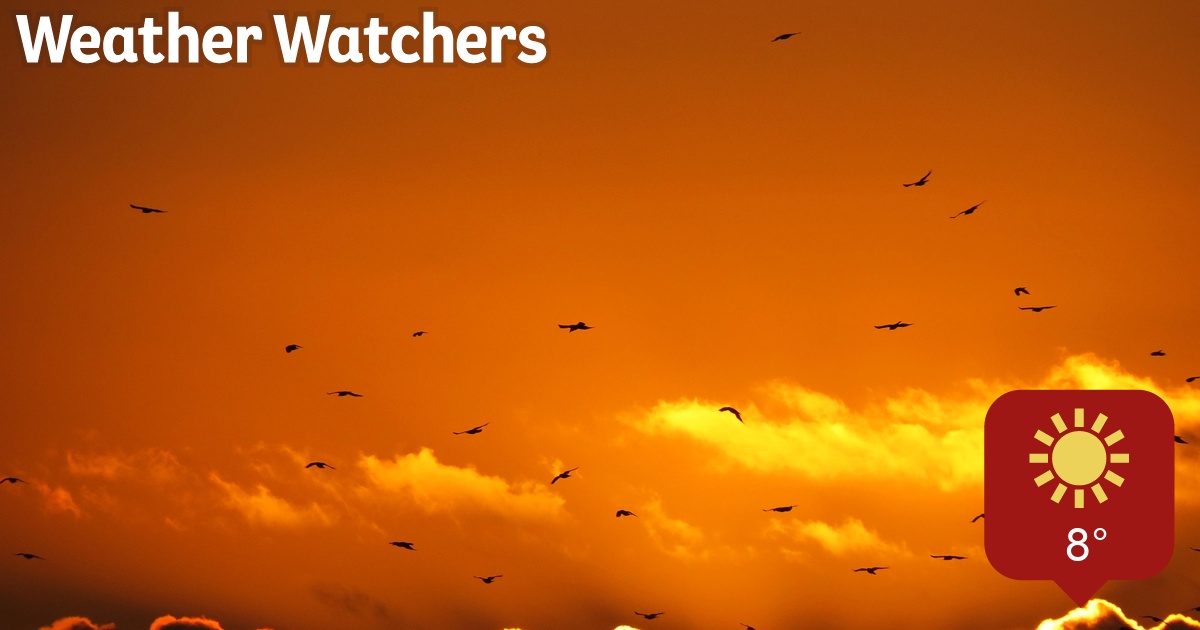 Report - BBC Weather Watchers