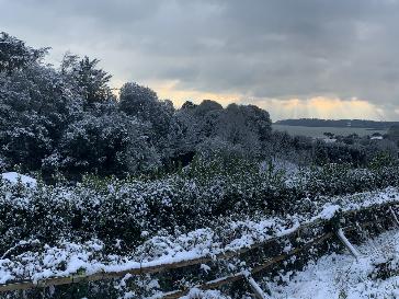 St Helier - BBC Weather