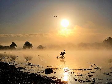 Nottingham - BBC Weather