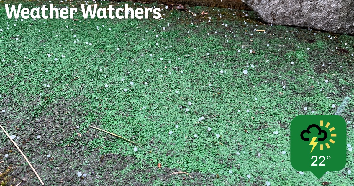 Report - BBC Weather Watchers