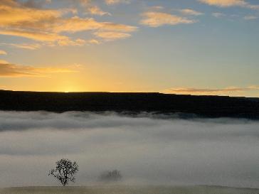 Middlesbrough - BBC Weather