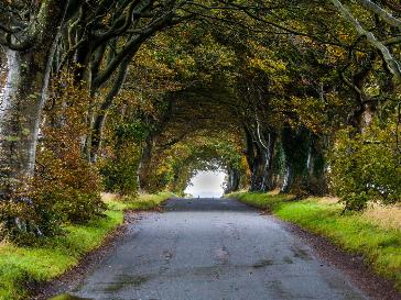 Warminster - BBC Weather