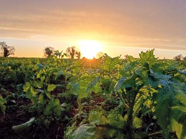 Immingham - BBC Weather