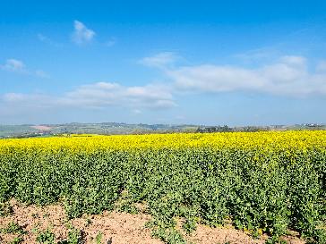 Evesham - BBC Weather