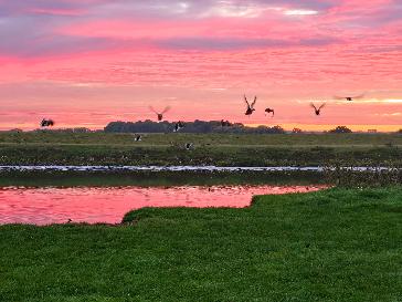 Nottingham - BBC Weather