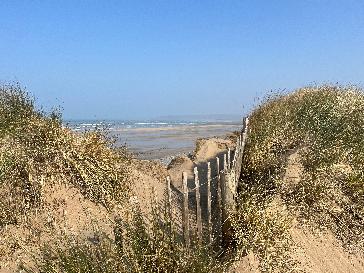 Exeter - BBC Weather