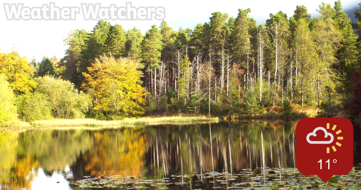 Report - BBC Weather Watchers