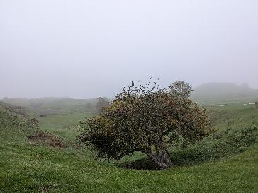 Coventry Airport - BBC Weather