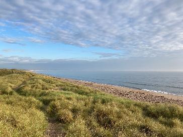 Sunderland - BBC Weather