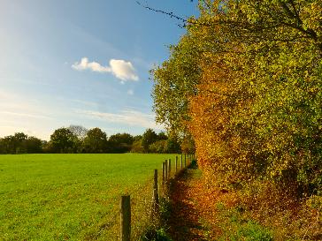Hitchin - BBC Weather