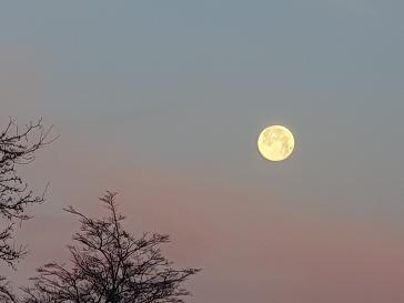 Haverhill - BBC Weather