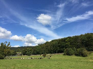 Buxton - BBC Weather