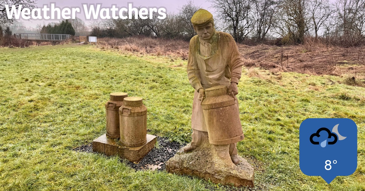 Report - BBC Weather Watchers