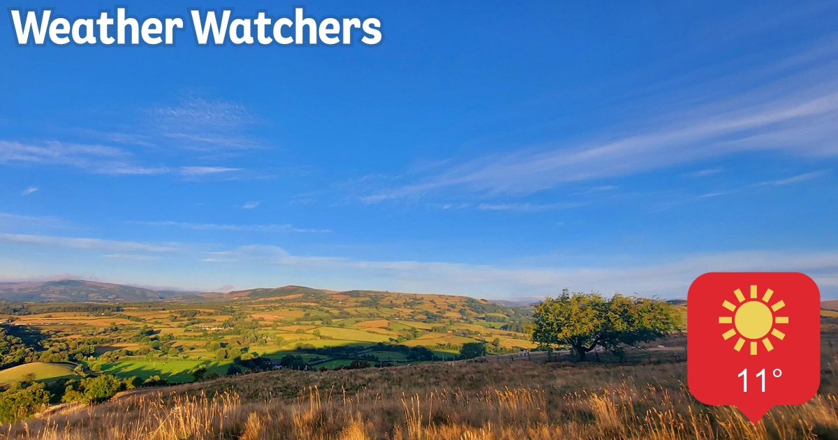 Report - BBC Weather Watchers