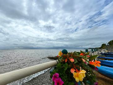 Newport - BBC Weather