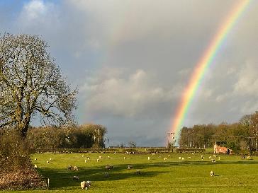 Belper - BBC Weather