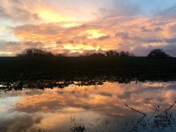 Stevenage - BBC Weather