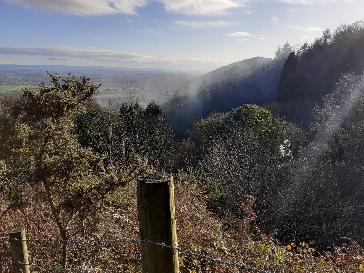 Redditch - BBC Weather