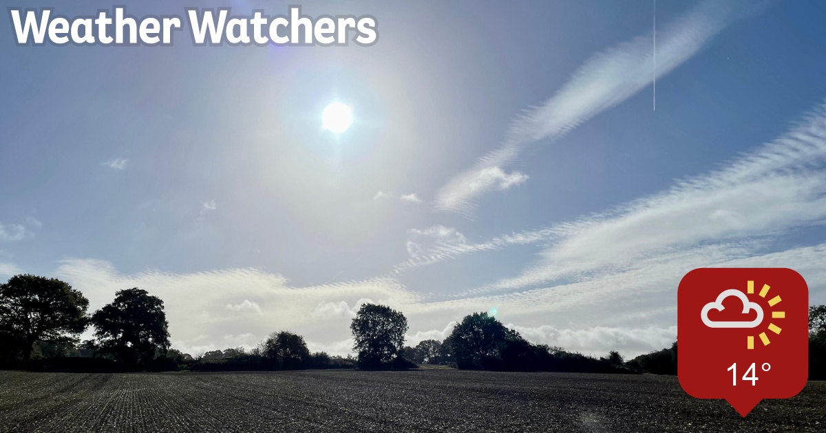 Report - BBC Weather Watchers