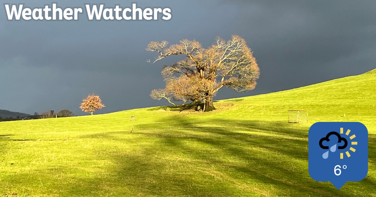 Report - BBC Weather Watchers