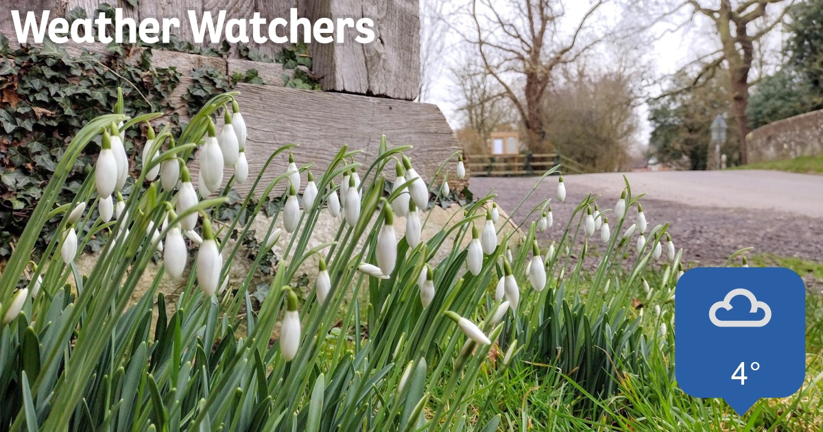 Report - BBC Weather Watchers