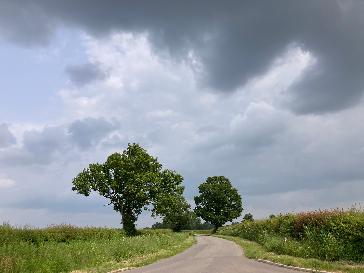 Howden - BBC Weather