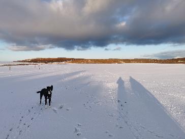 Oswestry - BBC Weather