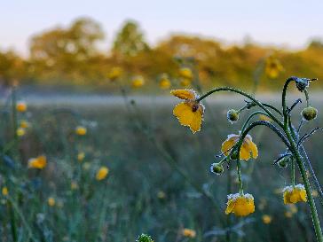 Nottingham - BBC Weather