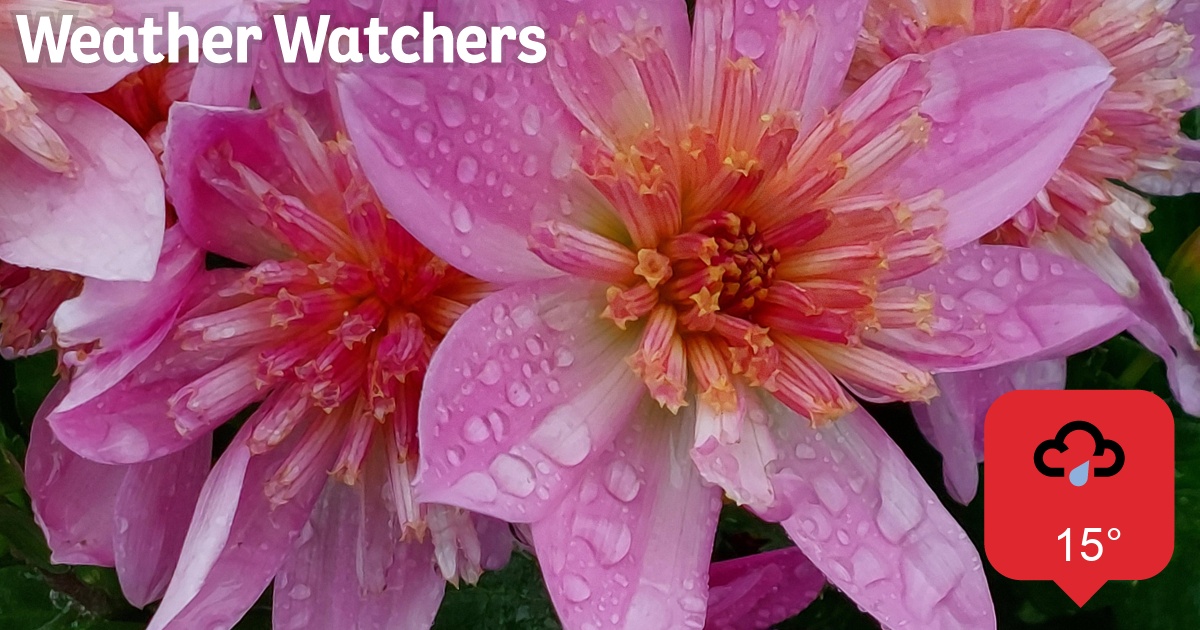 Report - BBC Weather Watchers