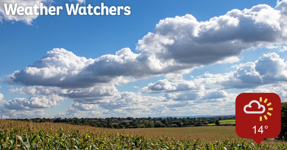 Report - BBC Weather Watchers