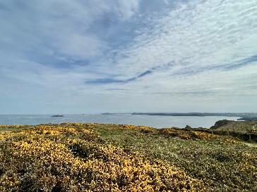 Penzance - BBC Weather