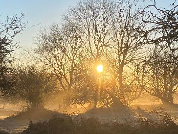 Bargoed - BBC Weather