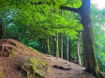 Sutton Coldfield - BBC Weather