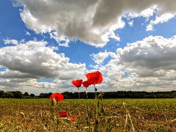 Clitheroe - BBC Weather
