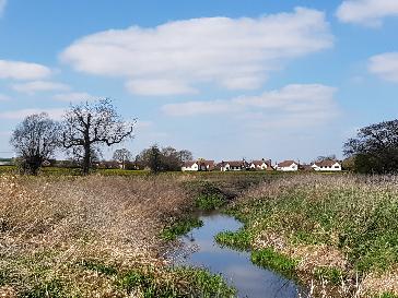 Colchester - BBC Weather