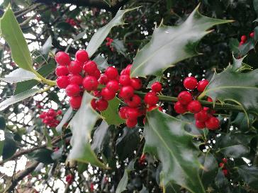 Wembley - BBC Weather