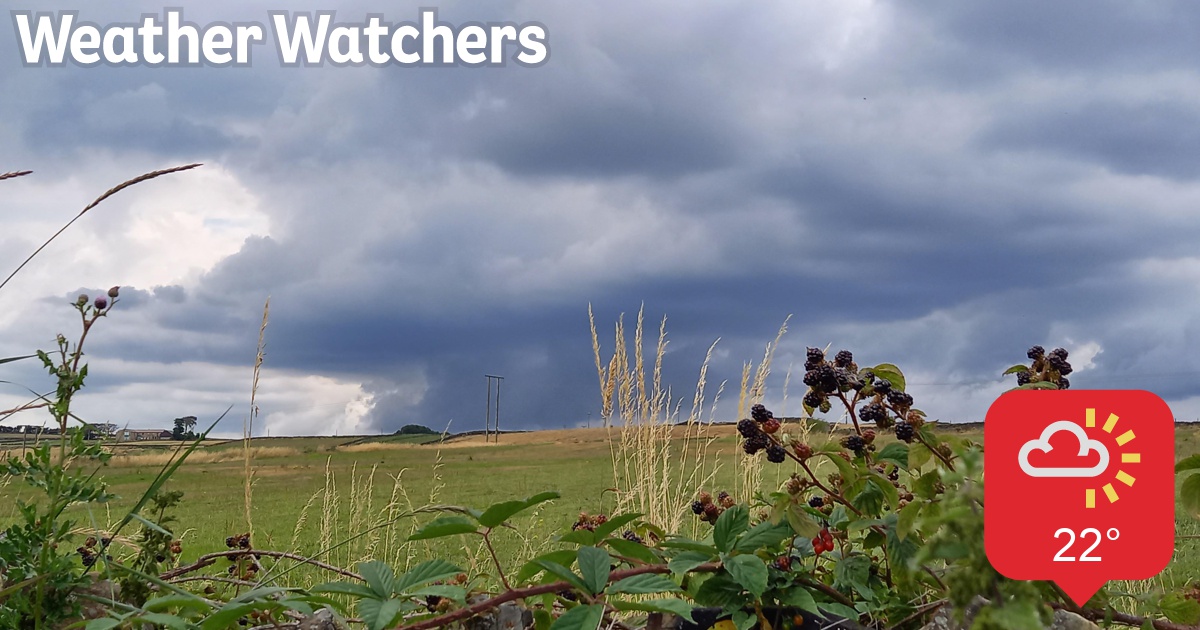 Report - BBC Weather Watchers