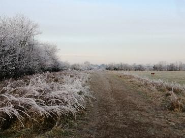 Gloucester - BBC Weather