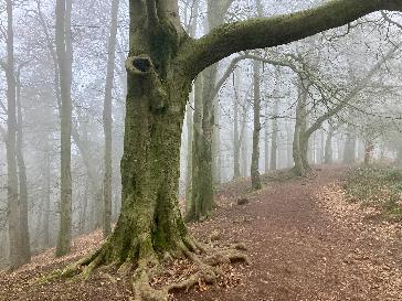 Evesham - BBC Weather