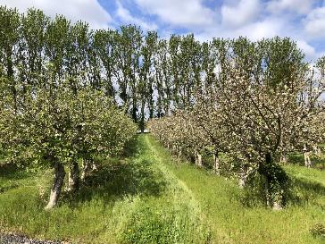 Worcester - BBC Weather