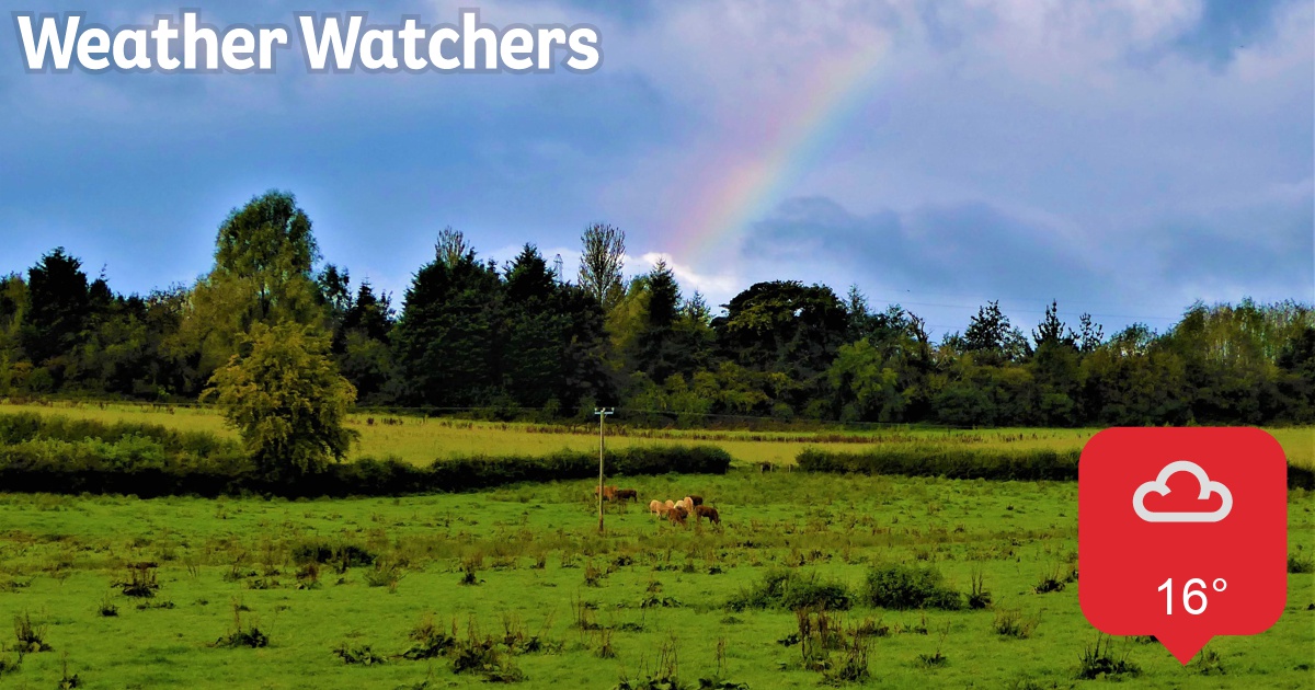 Report - BBC Weather Watchers