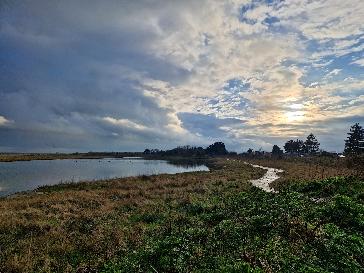 Canterbury - BBC Weather