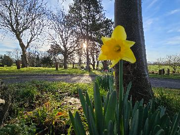 Doncaster - BBC Weather