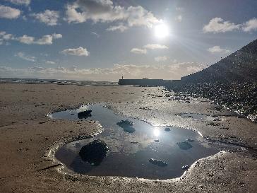 Cardiff - BBC Weather