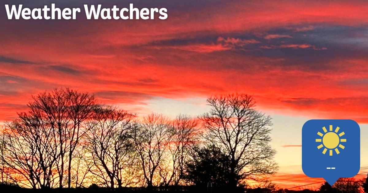 Report - BBC Weather Watchers