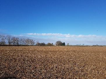 Peterborough - BBC Weather