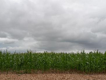 Basingstoke - BBC Weather