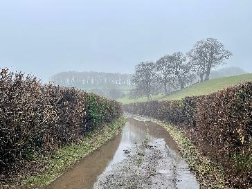 Bangor - BBC Weather